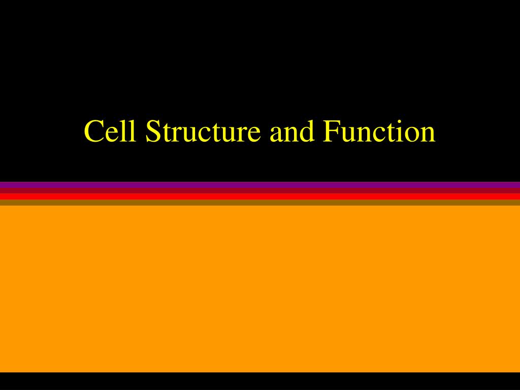 PPT - Cell Structure and Function PowerPoint Presentation, free ...