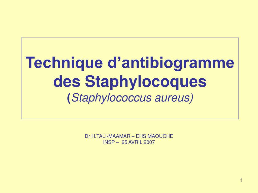PPT - Technique d’antibiogramme des Staphylocoques ( Staphylococcus ...