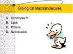 PPT - Biological Macromolecules PowerPoint Presentation, free download ...