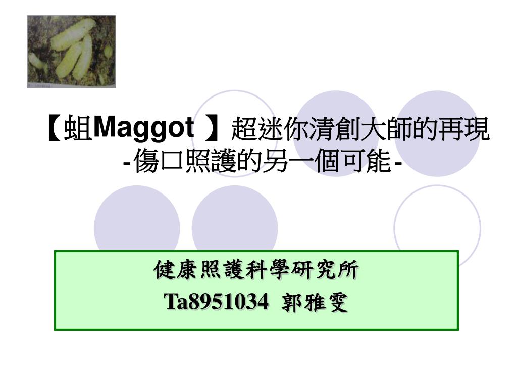 PPT - 【 蛆 Maggot 】 超迷你清創大師的再現 - 傷口照護的另一個可能 - PowerPoint Presentation ...