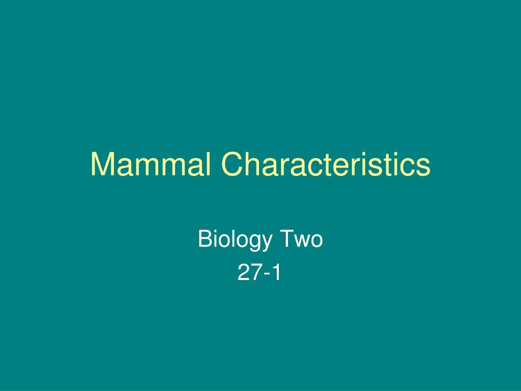 PPT - Mammal Characteristics PowerPoint Presentation, free download ...