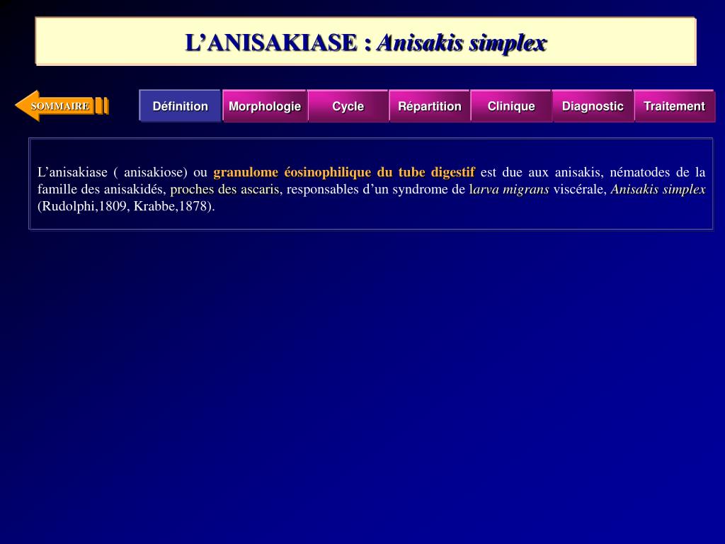PPT - L’ANISAKIASE : Anisakis simplex PowerPoint Presentation, free ...