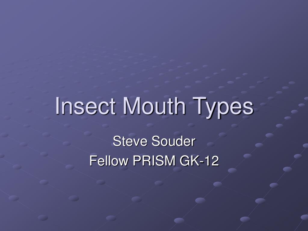 PPT - Insect Mouth Types PowerPoint Presentation, free download - ID:432988