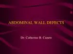 PPT - Abdominal Wall Hernia PowerPoint Presentation, free download - ID ...