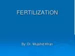 PPT - Fertilization PowerPoint Presentation, free download - ID:2148008