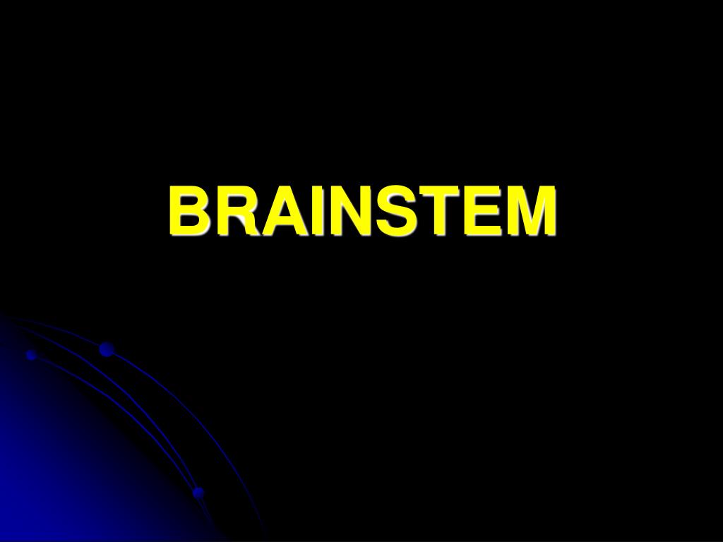 PPT - BRAINSTEM PowerPoint Presentation, free download - ID:438329