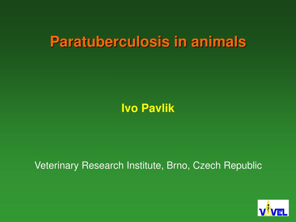 PPT - Parat ubercul osis in animals PowerPoint Presentation, free ...