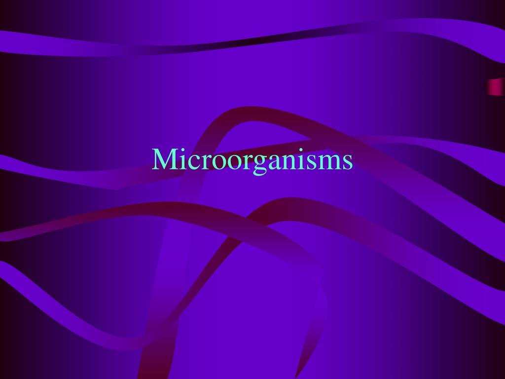 PPT - Microorganisms PowerPoint Presentation, free download - ID:438504