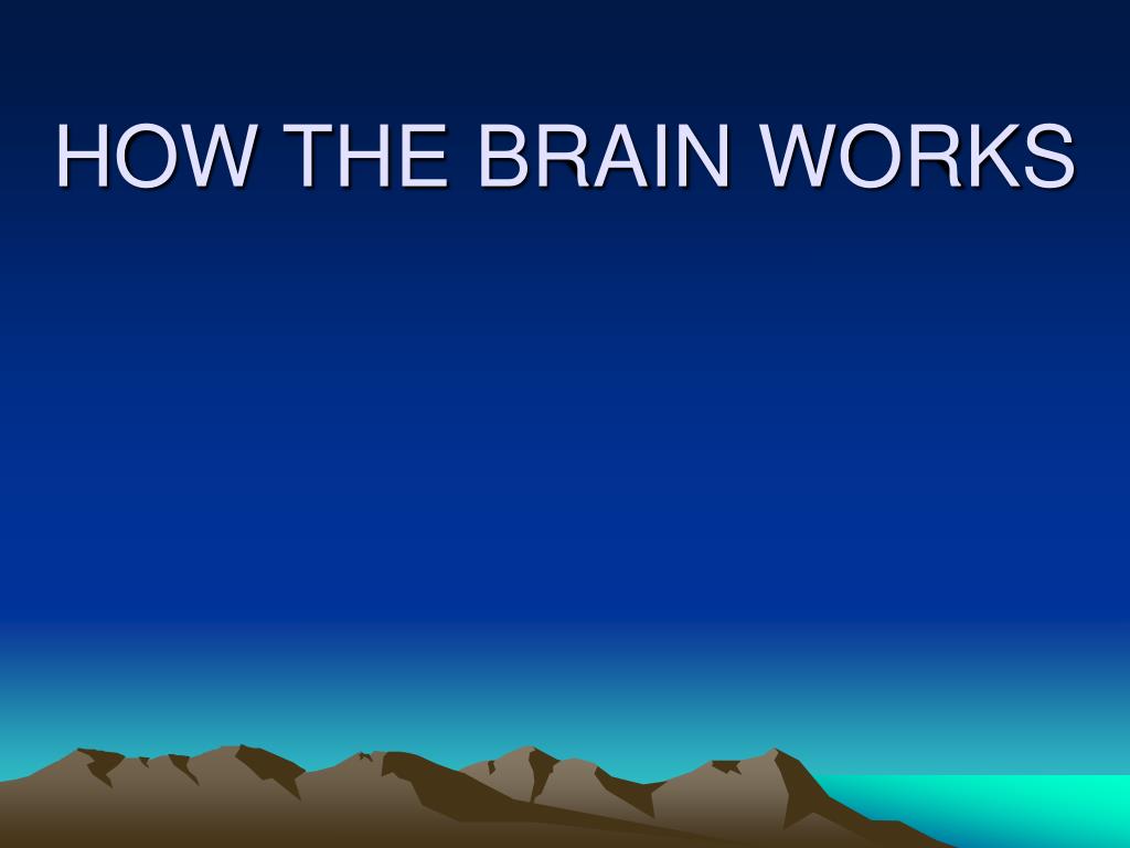 PPT - HOW THE BRAIN WORKS PowerPoint Presentation, free download - ID ...