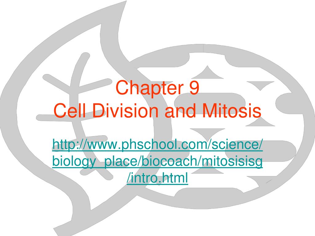 PPT - Chapter 9 Cell Division and Mitosis PowerPoint Presentation, free ...