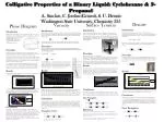 PPT - Introduction to Density PowerPoint Presentation, free download ...