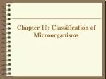 PPT - Chapter 7 Control of Microorganisms PowerPoint Presentation, free ...