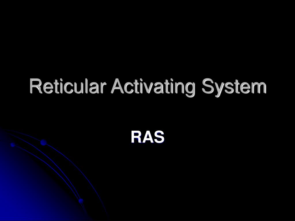 PPT - Reticular Activating System PowerPoint Presentation, free ...