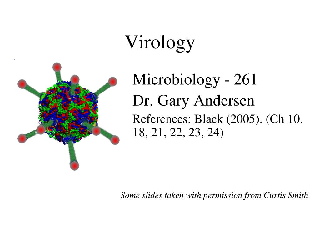 PPT - Virology PowerPoint Presentation, free download - ID:441407