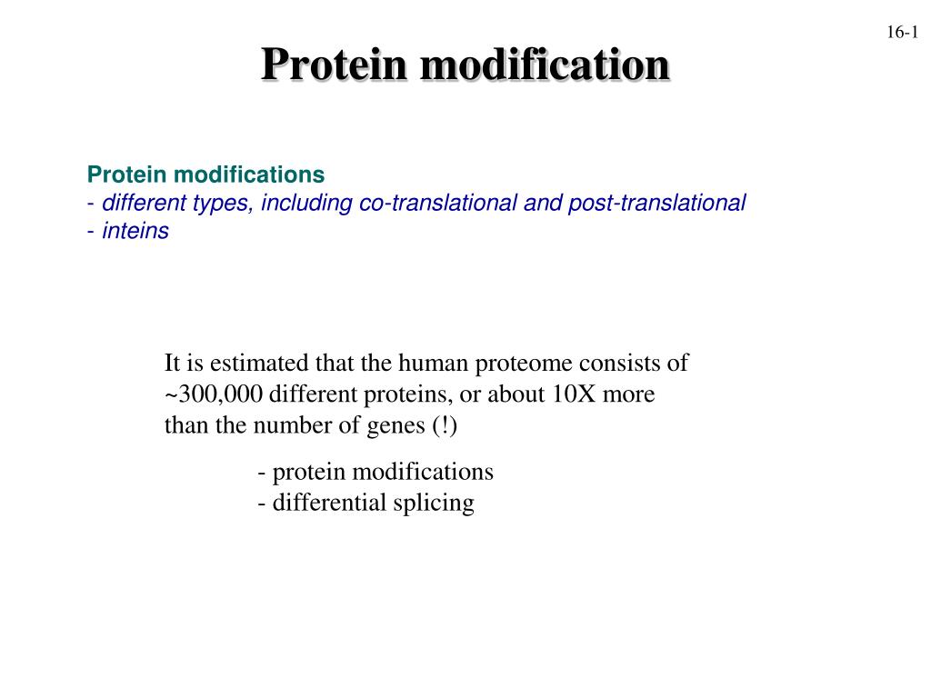 PPT - Protein modification PowerPoint Presentation, free download - ID ...