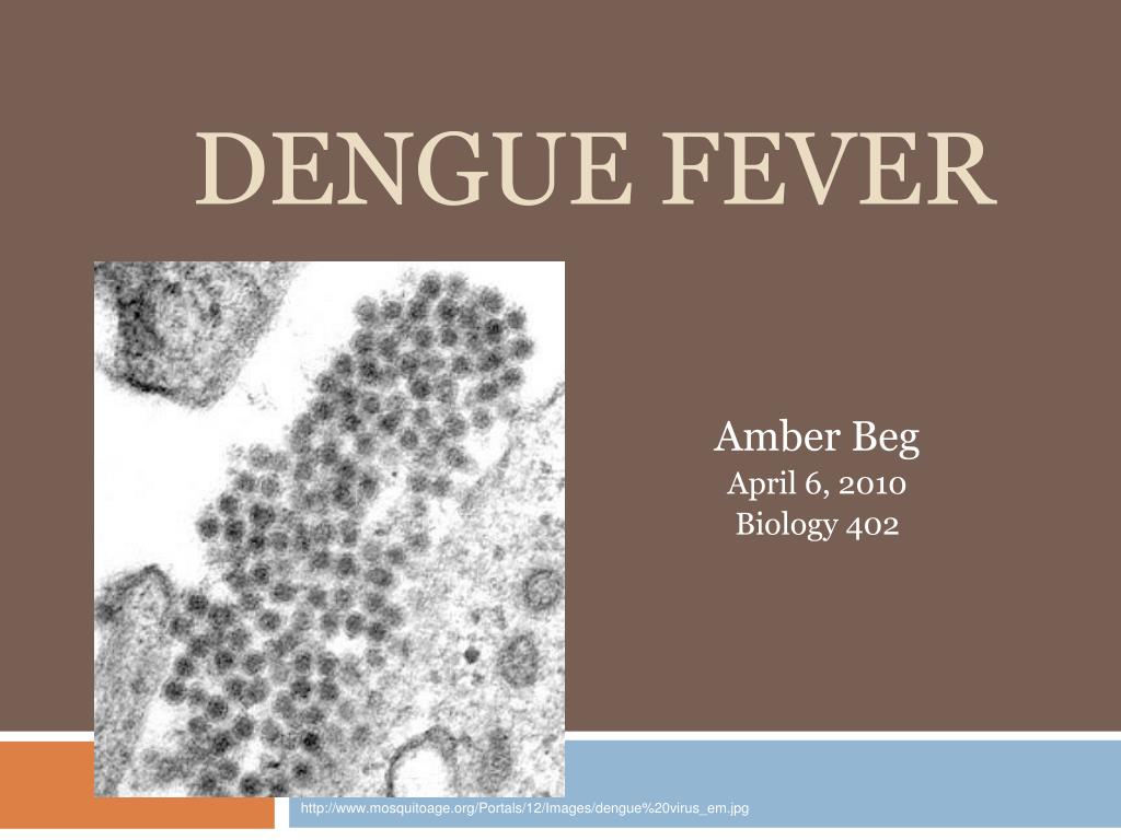 PPT - Dengue Fever PowerPoint Presentation, free download - ID:442449