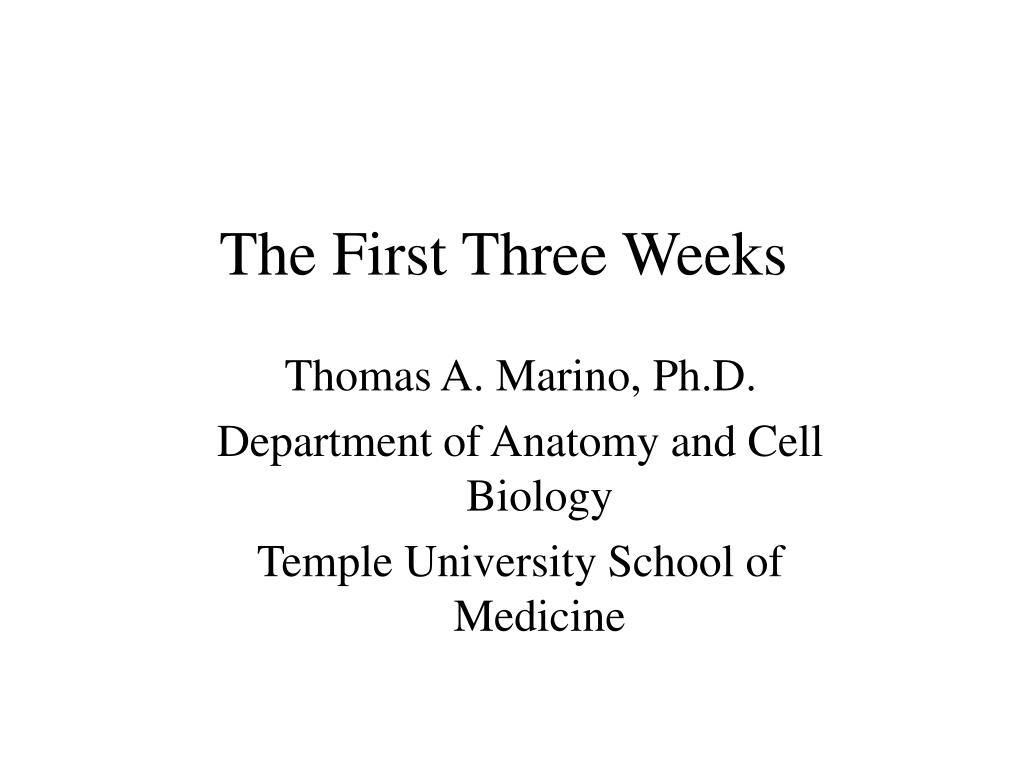 PPT - The First Three Weeks PowerPoint Presentation, free download - ID ...
