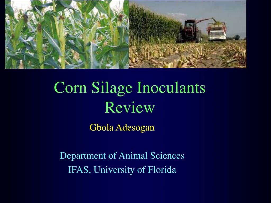 PPT - Corn Silage Inoculants Review PowerPoint Presentation, free ...