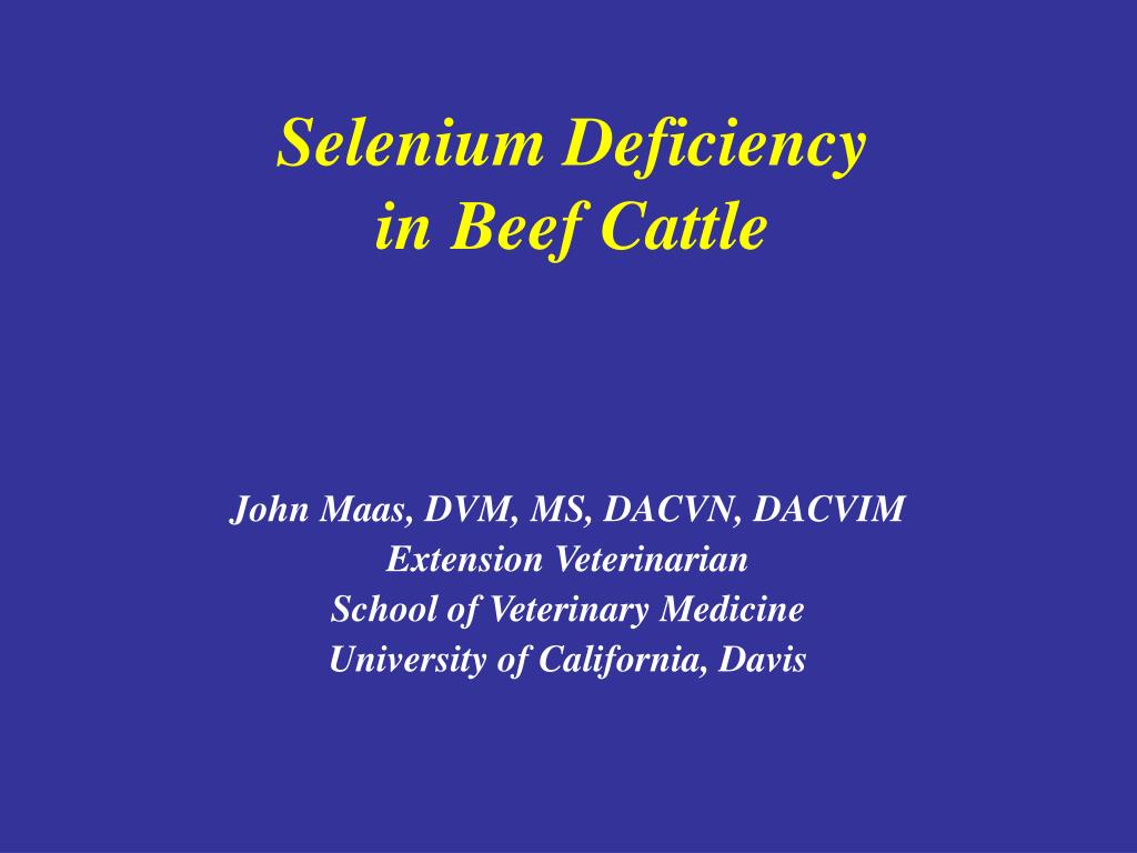PPT - Selenium Deficiency in Beef Cattle PowerPoint Presentation, free ...