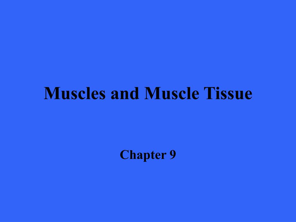 PPT - Muscles and Muscle Tissue PowerPoint Presentation, free download ...