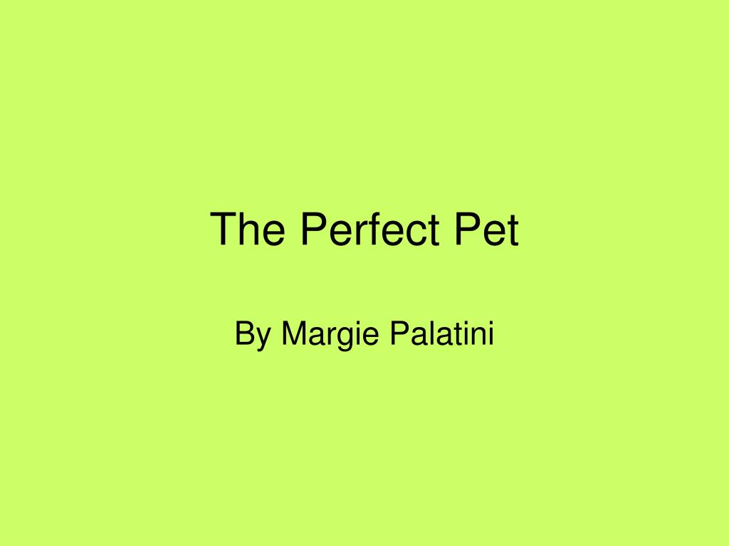 PPT - The Perfect Pet PowerPoint Presentation, free download - ID:447075