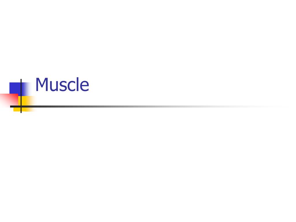 PPT - Muscle PowerPoint Presentation, free download - ID:448530
