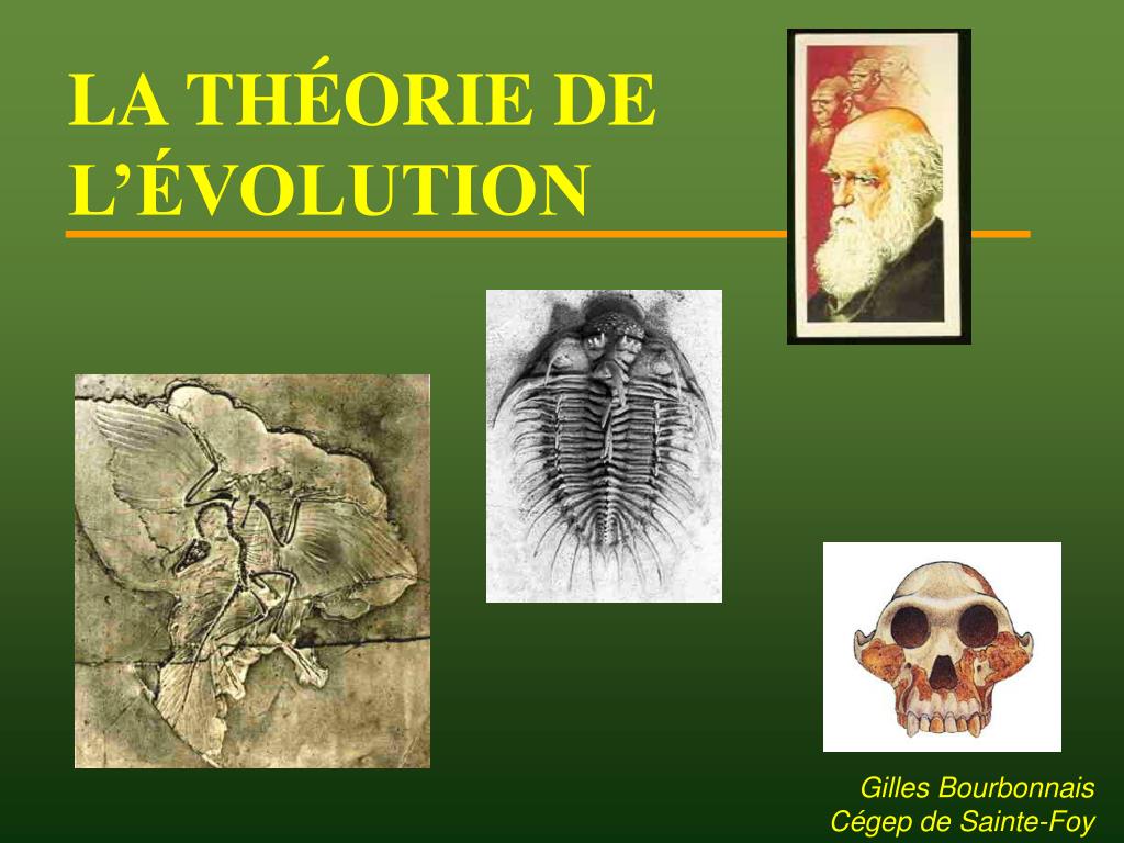 PPT - LA THÉORIE DE L’ÉVOLUTION PowerPoint Presentation, free download ...