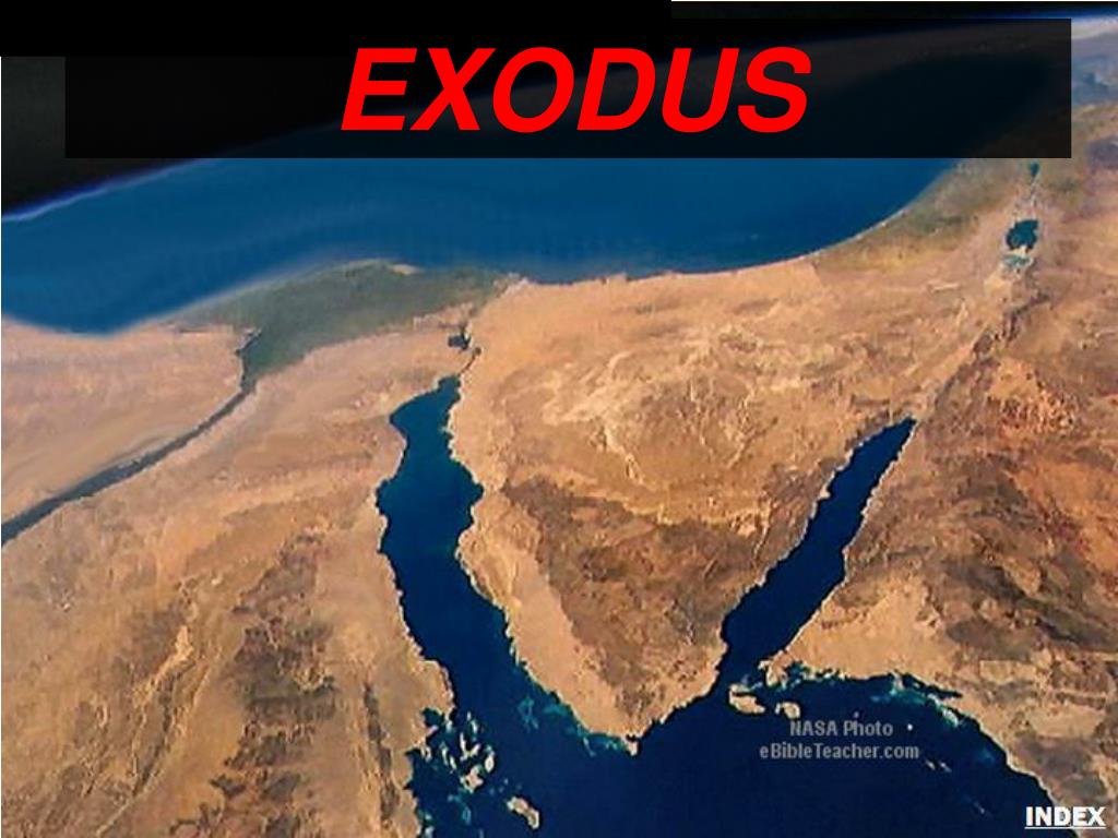 PPT - EXODUS PowerPoint Presentation, free download - ID:449832