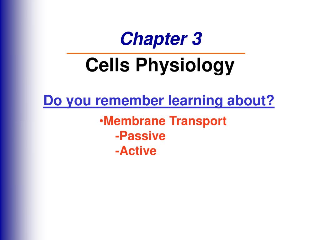 PPT - Chapter 3 Cells Physiology PowerPoint Presentation, free download ...