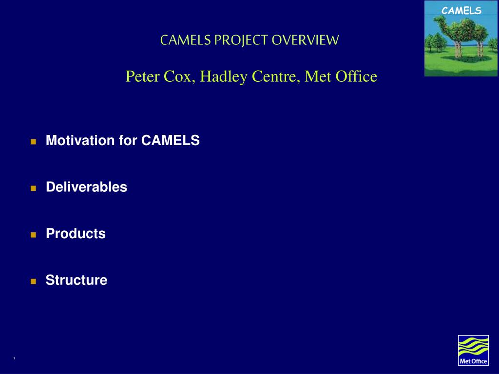 PPT - CAMELS PROJECT OVERVIEW PowerPoint Presentation, free download ...