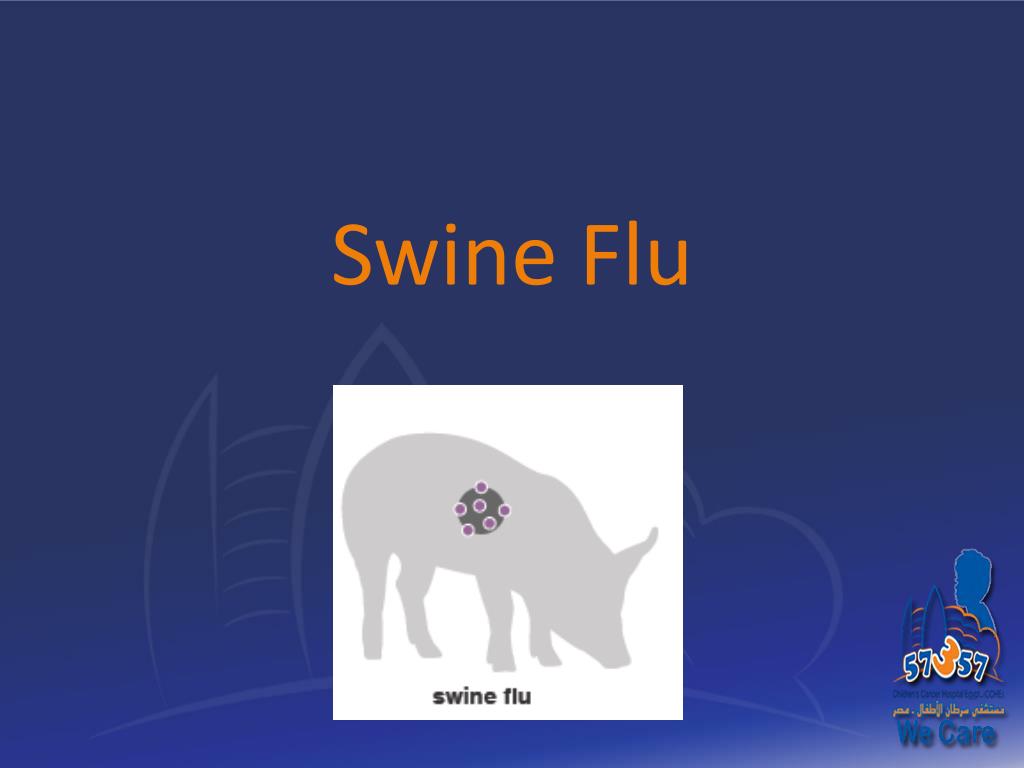 PPT - Swine Flu PowerPoint Presentation, free download - ID:4512