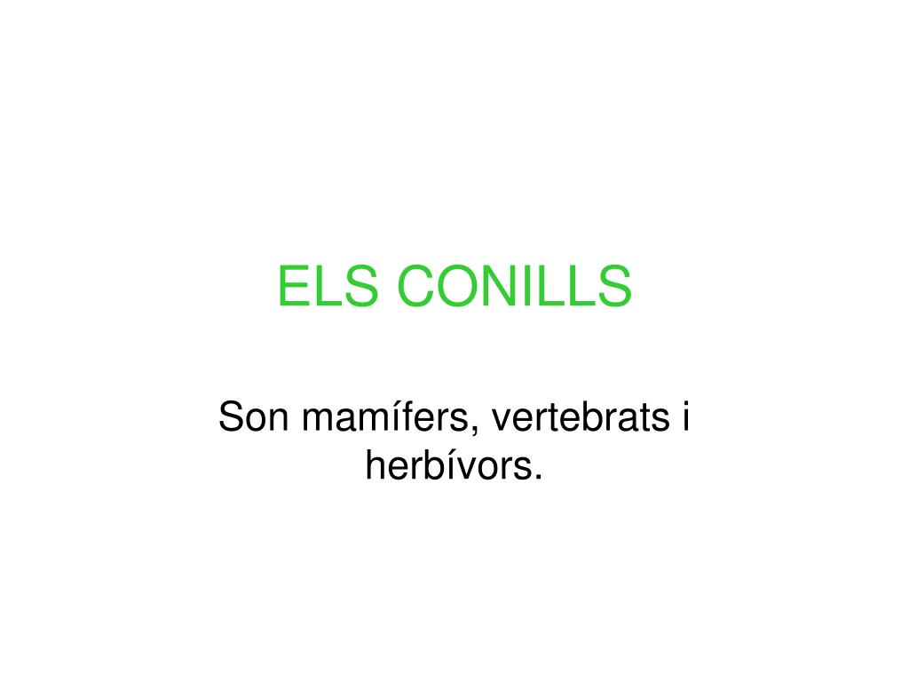 PPT - ELS CONILLS PowerPoint Presentation, free download - ID:454097