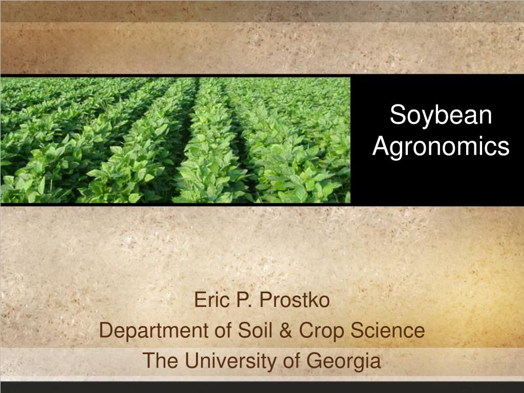 PPT - Soybean Agronomics PowerPoint Presentation, free download - ID:455780