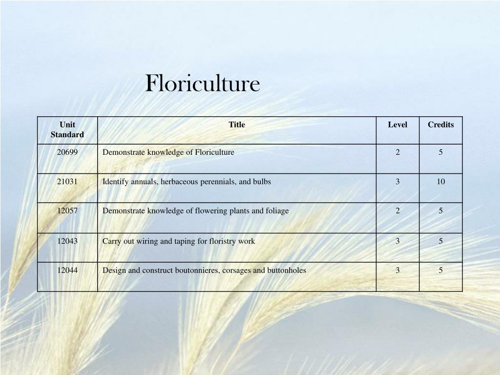 PPT - Floriculture PowerPoint Presentation, free download - ID:45626
