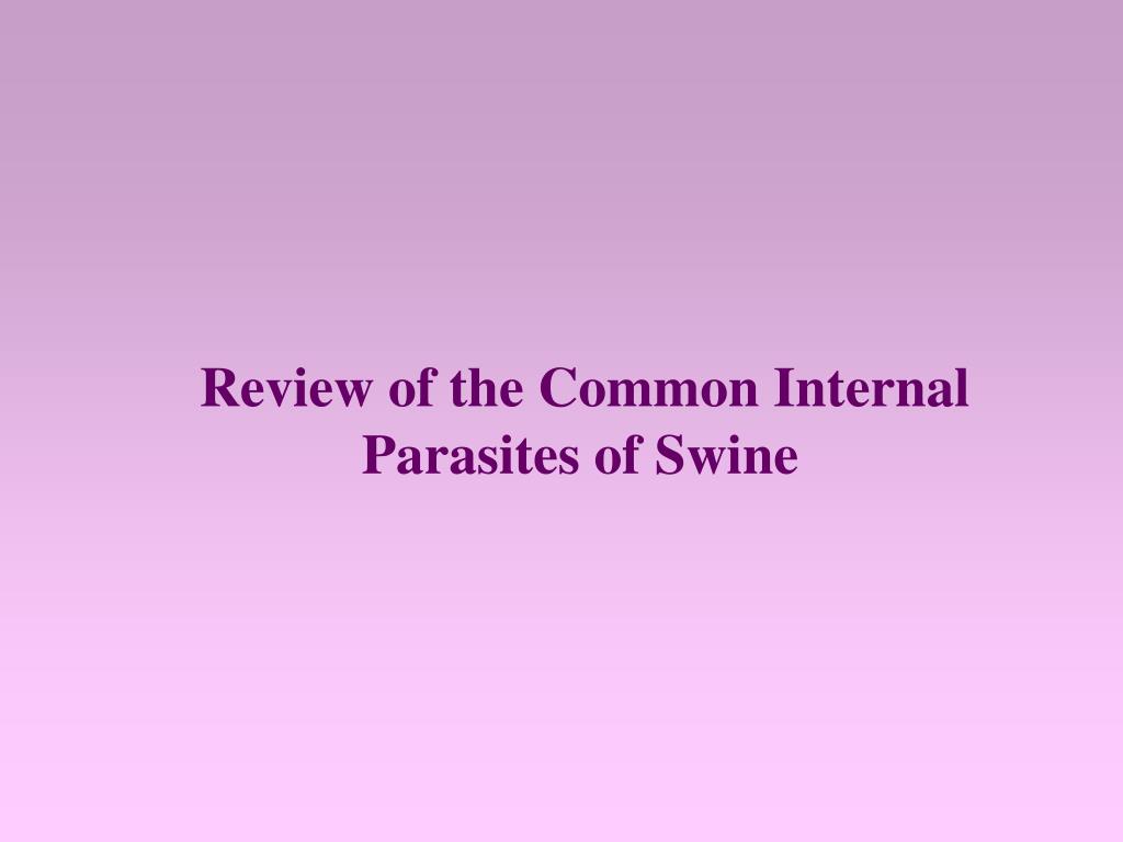 PPT - Review of the Common Internal Parasites of Swine PowerPoint ...