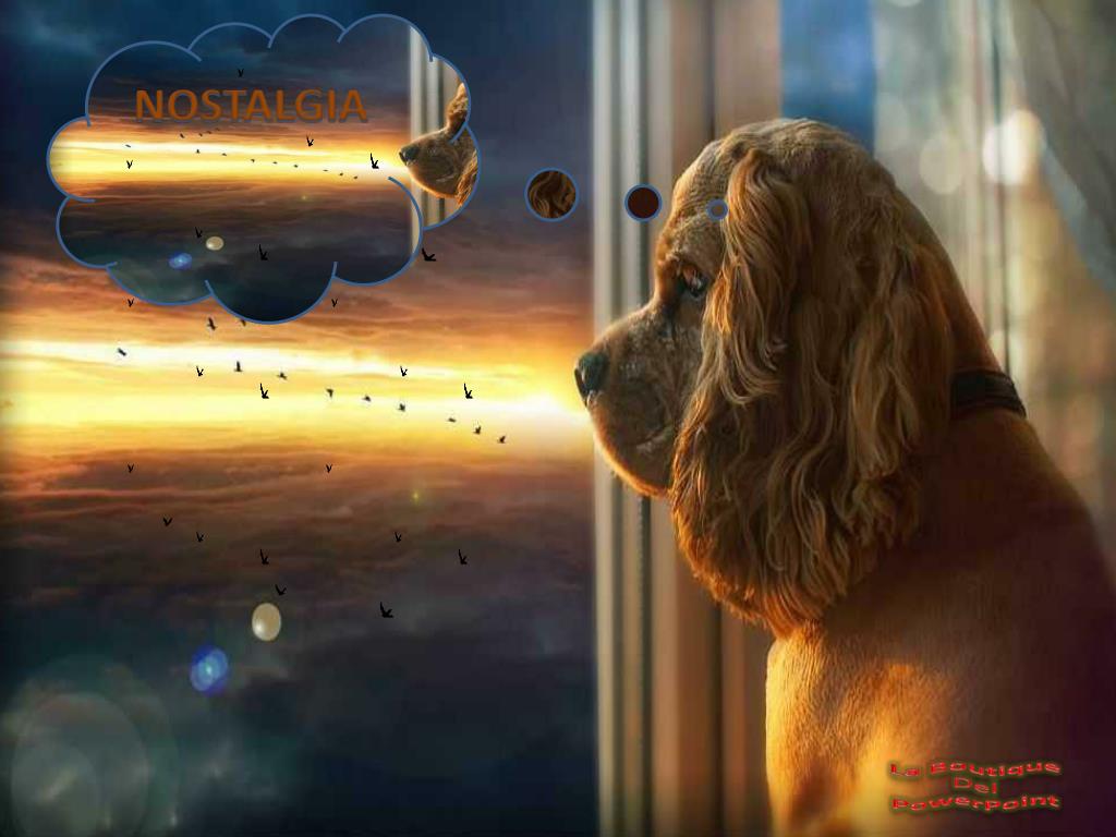 PPT - NOSTALGIA PowerPoint Presentation, free download - ID:457709