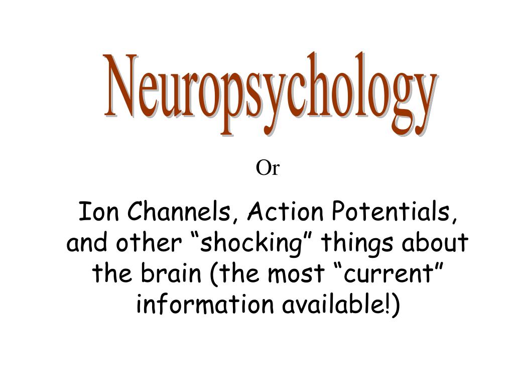 PPT - Neuropsychology PowerPoint Presentation, free download - ID:462320