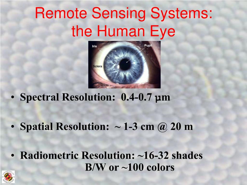 PPT - Remote Sensing Systems: the Human Eye PowerPoint Presentation ...