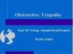 PPT - Obstructive Uropathy PowerPoint Presentation, free download - ID:2976129