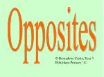 PPT - Opposites Attract PowerPoint Presentation, free download - ID:7366720