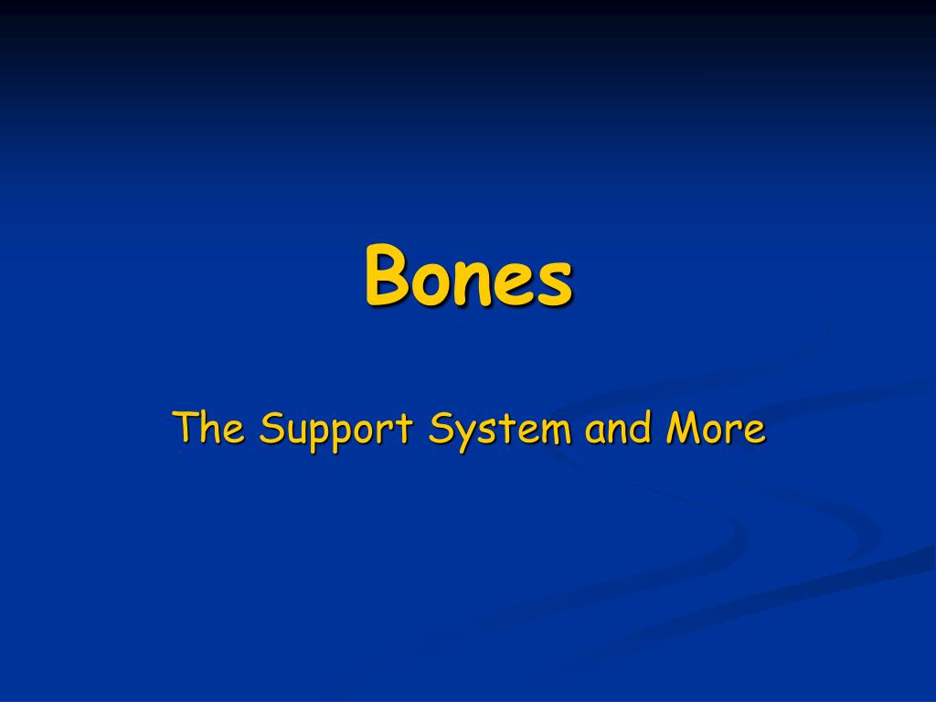PPT - Bones PowerPoint Presentation, free download - ID:465572