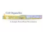 PPT - Cell Organelles and Their Functions PowerPoint Presentation, free ...