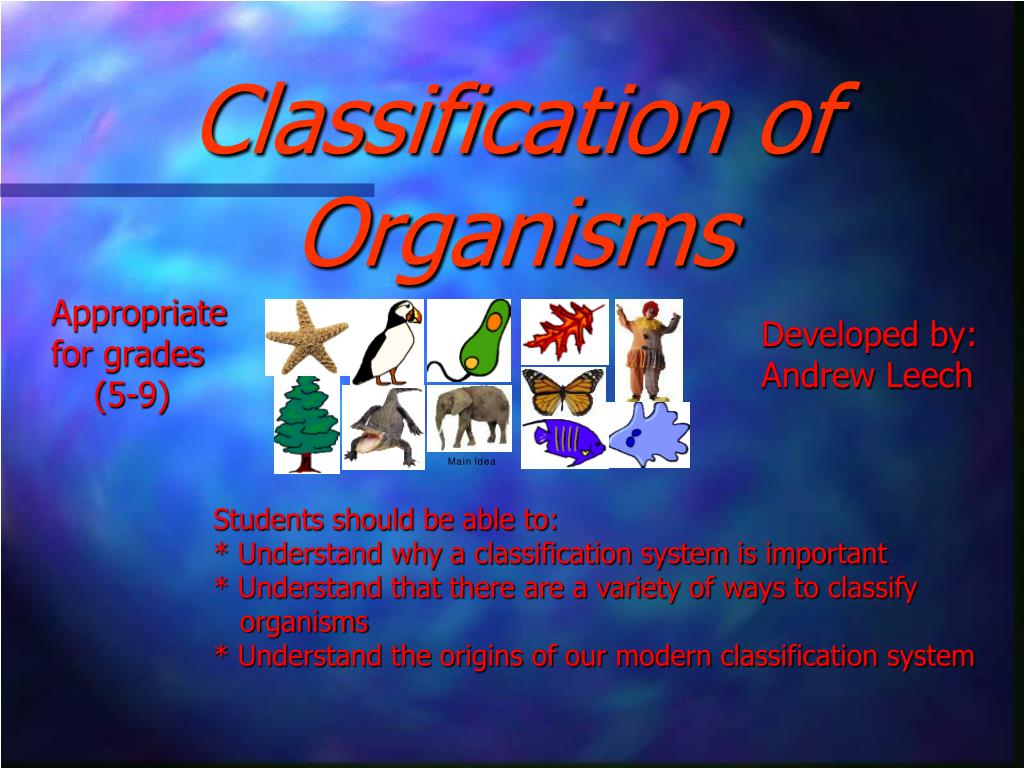 PPT - Classification of Organisms PowerPoint Presentation, free ...