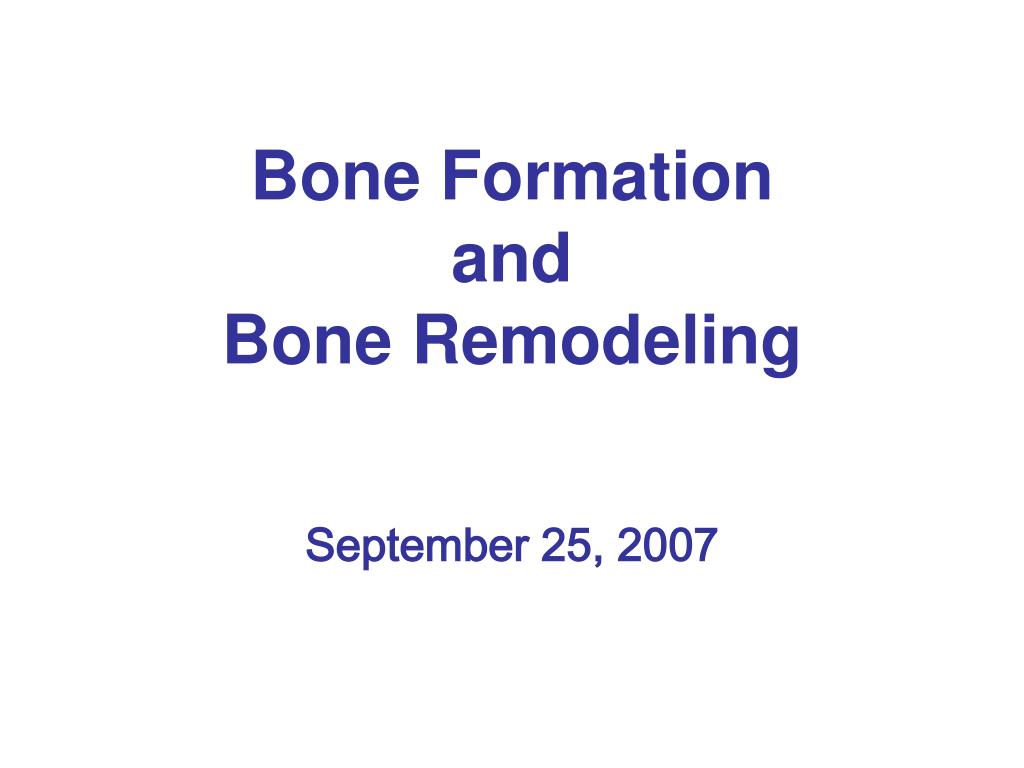PPT - Bone Formation and Bone Remodeling PowerPoint Presentation, free ...