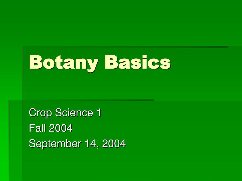 PPT - Botany Basics PowerPoint Presentation, free download - ID:473274