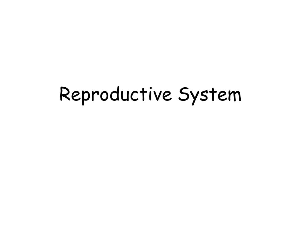 PPT - Reproductive System PowerPoint Presentation, free download - ID ...