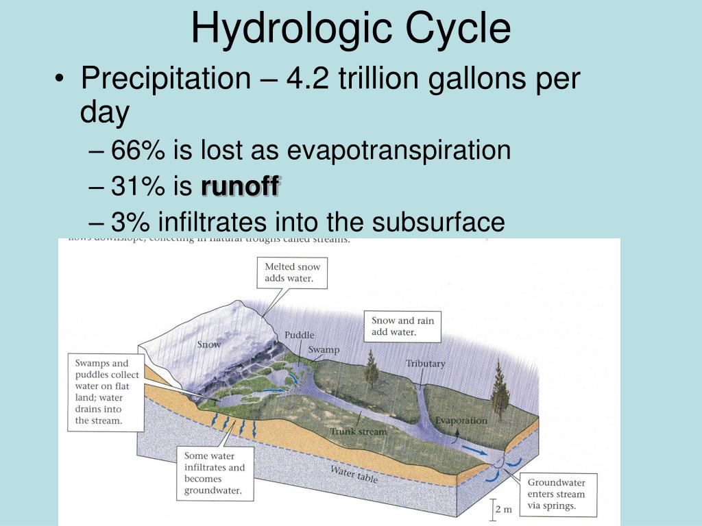 PPT - Hydrologic Cycle PowerPoint Presentation, free download - ID:475389