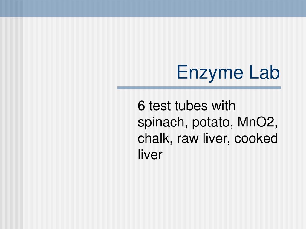 PPT - Enzyme Lab PowerPoint Presentation, free download - ID:475727