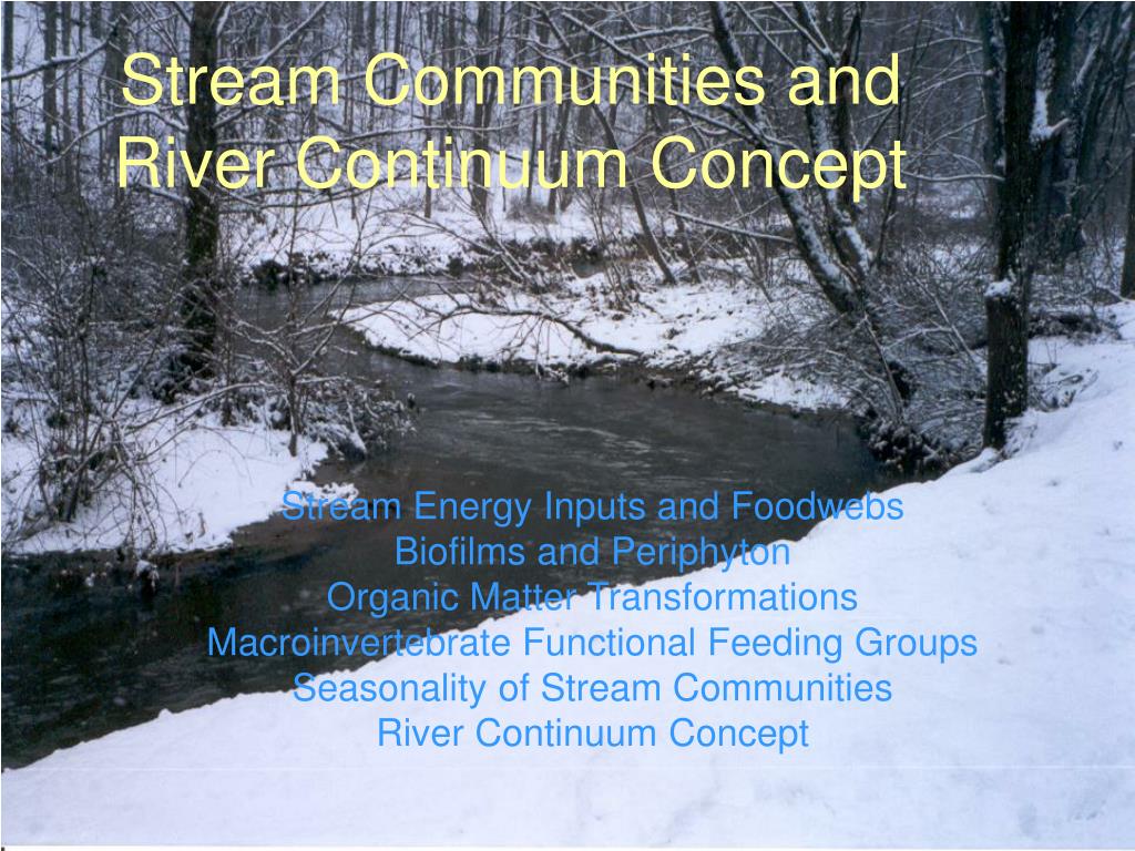 PPT - Stream Communities and River Continuum Concept PowerPoint ...