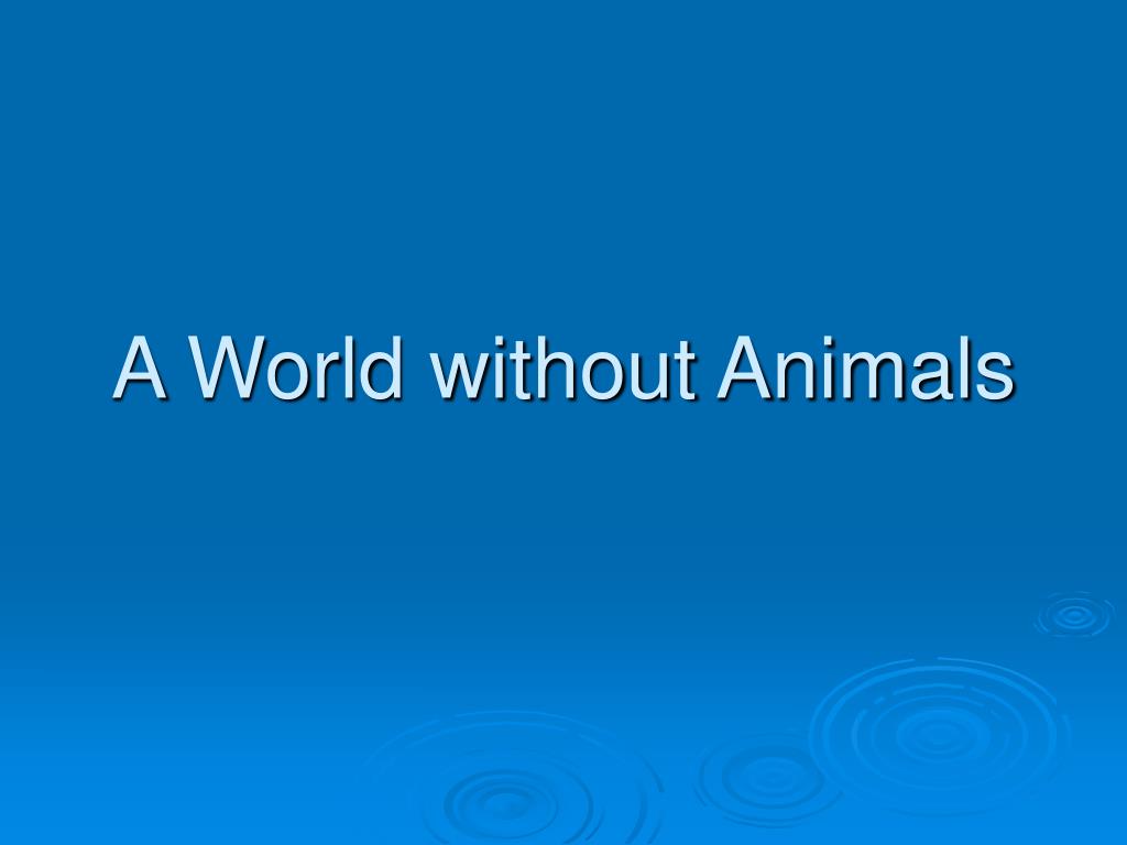 PPT - A World without Animals PowerPoint Presentation, free download ...